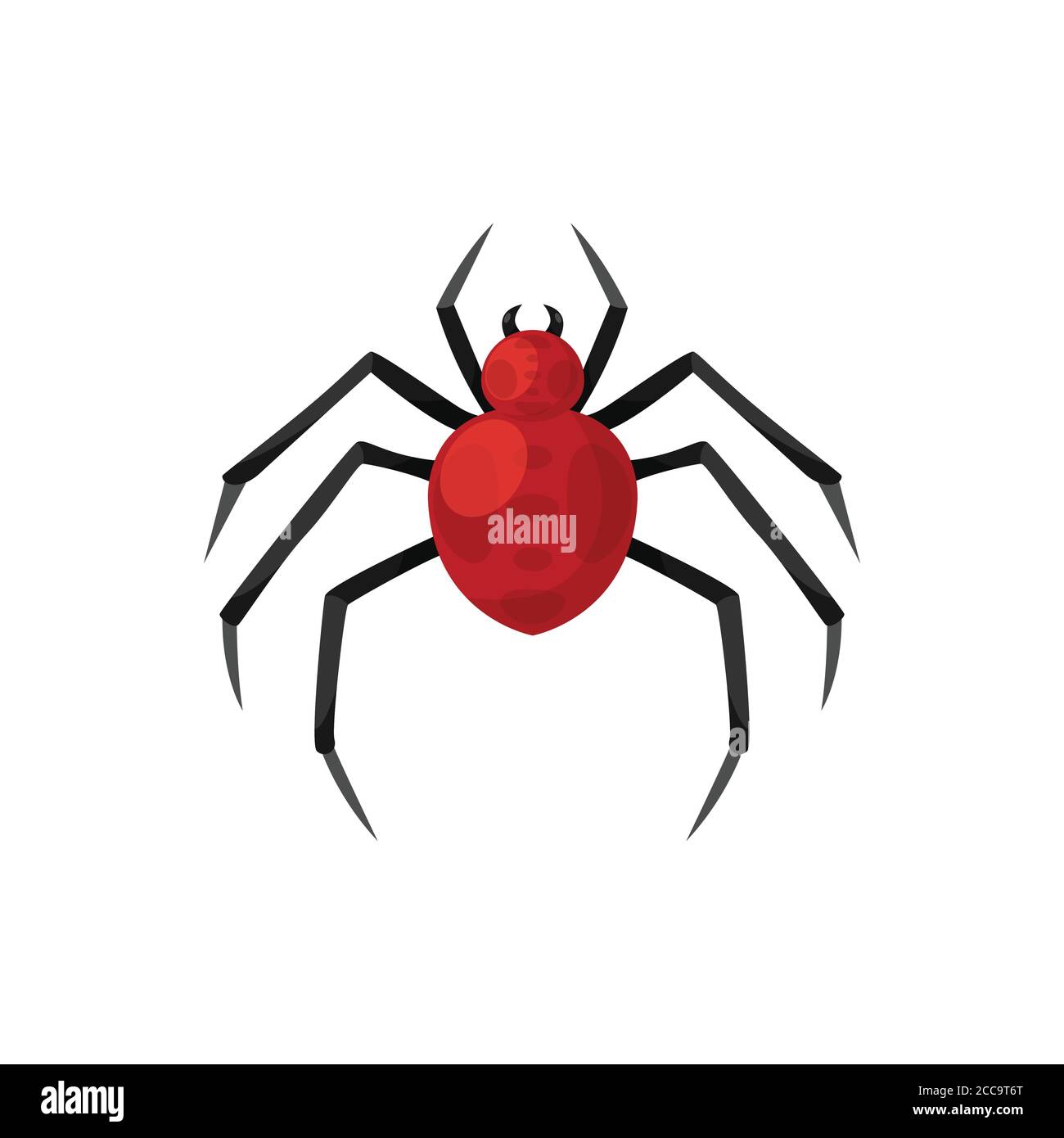 Halloween Spider Vector