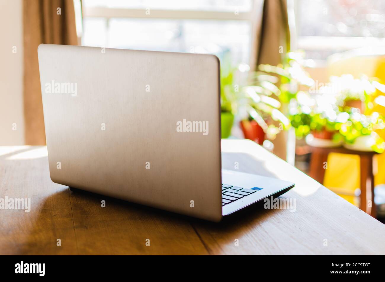 Closeup shot of the backside of a laptop on a wooden table Stock Photo ...