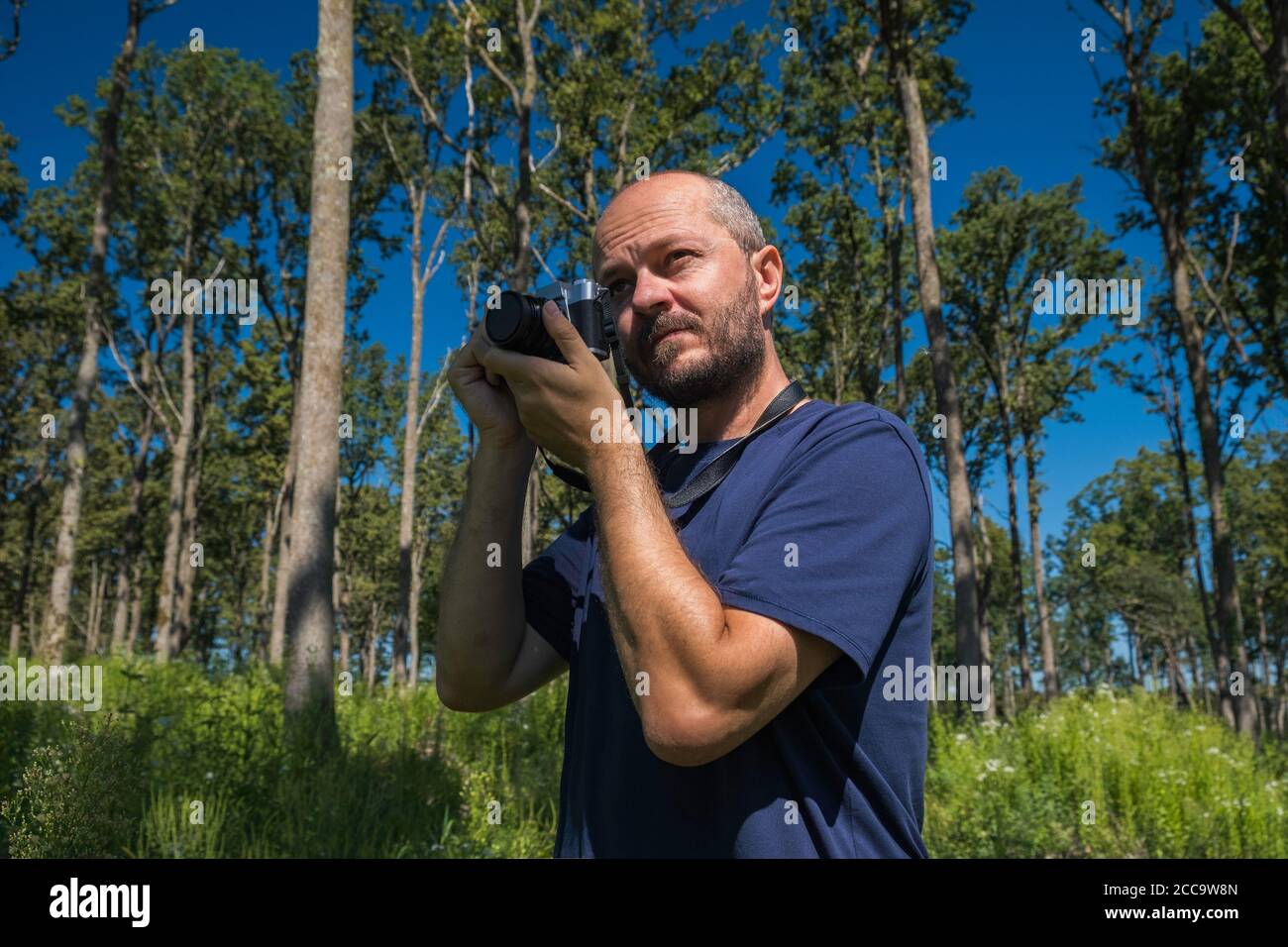 Adult man holding mirror less camera, shooting photos in a forest in ...