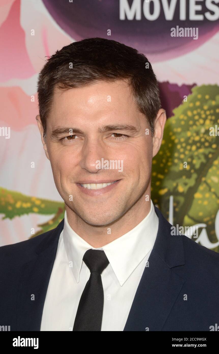 LOS ANGELES - JAN 13: Sam Page at the Hallmark Channel and Hallmark ...