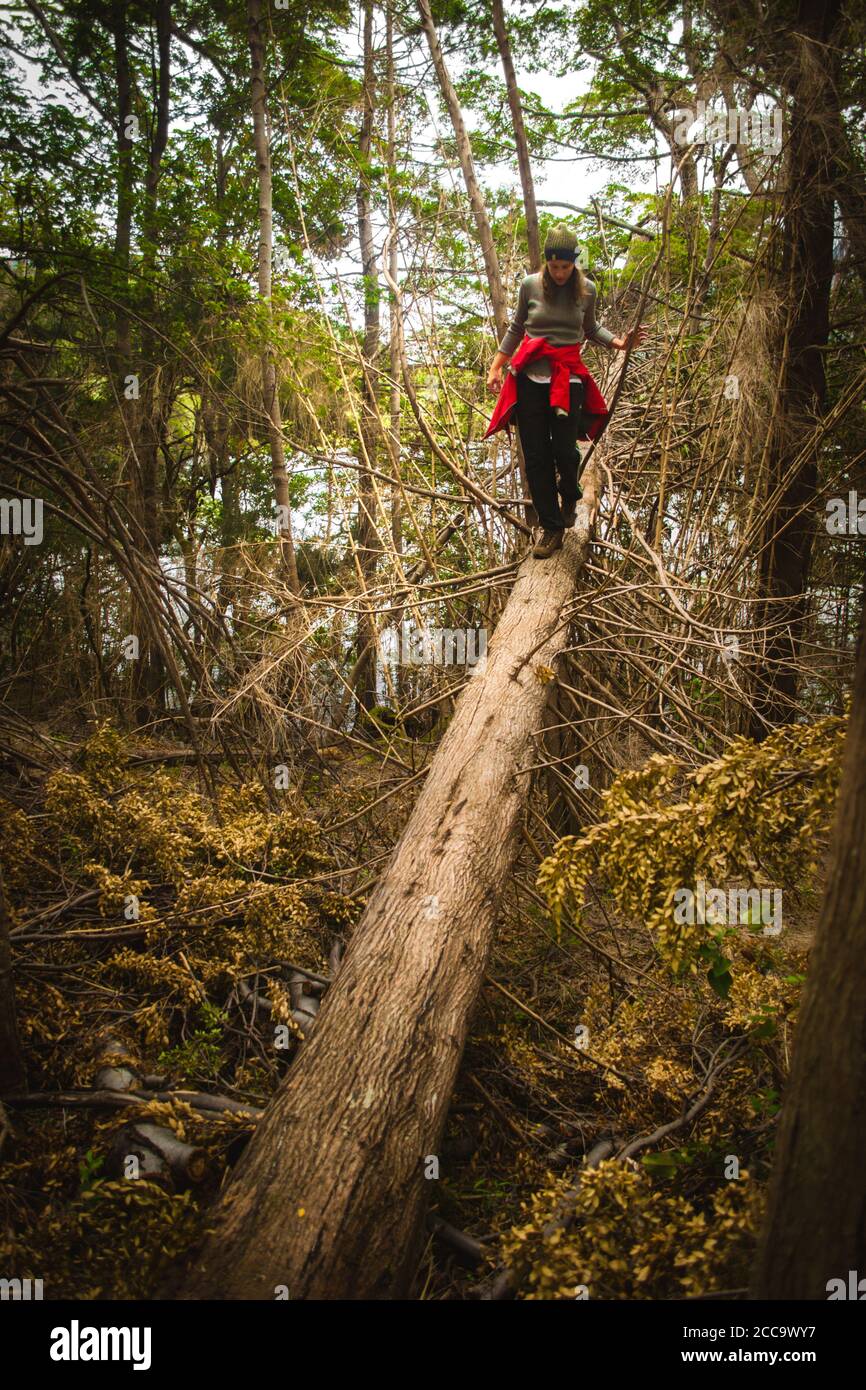 Vertical shot of a woman standing on a fallen tree in a beautiful ...