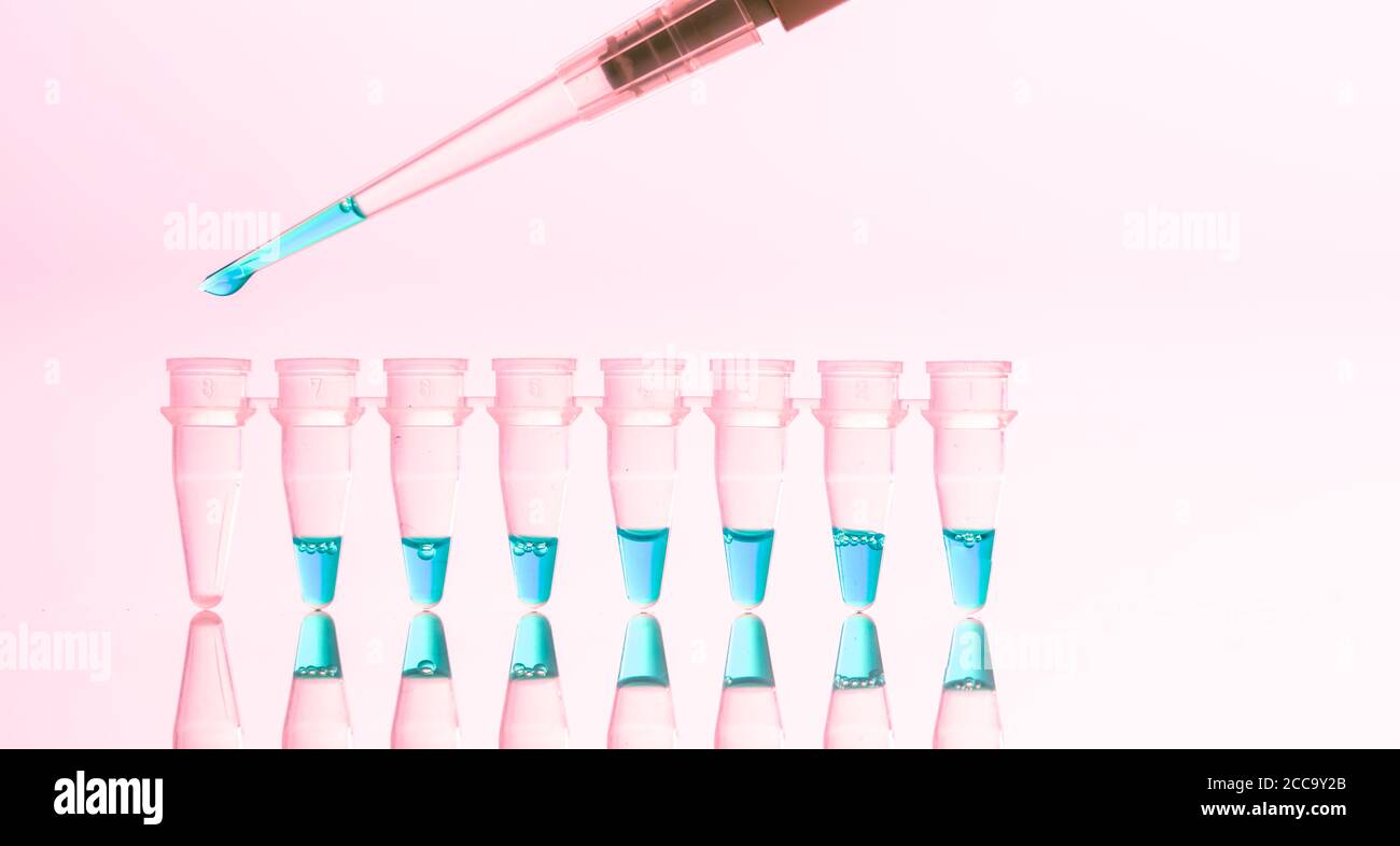 PCR Tube Strips Well and Pipette in genetic research laboratory close ...