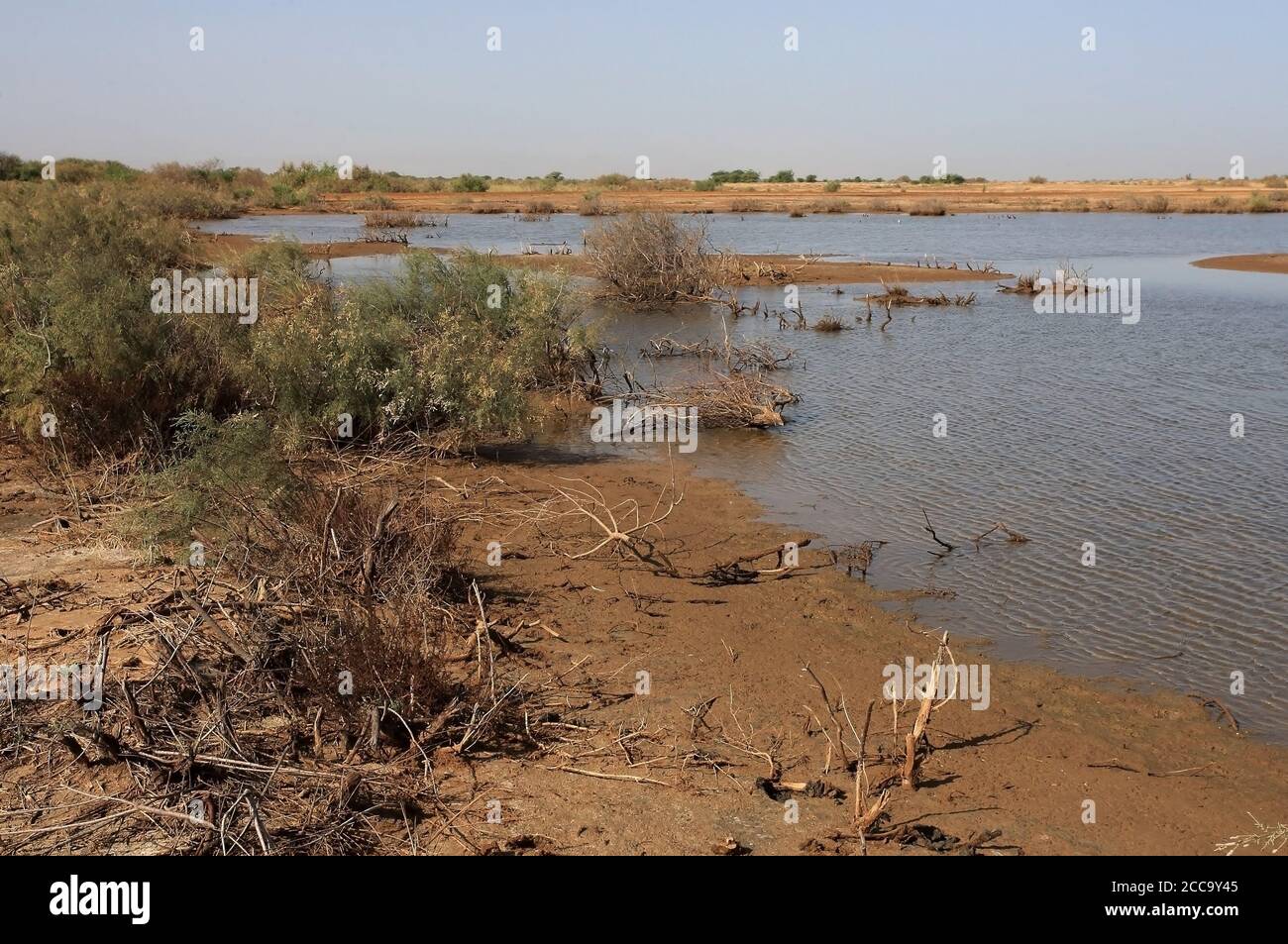 Shallow ponds hi-res stock photography and images - Alamy