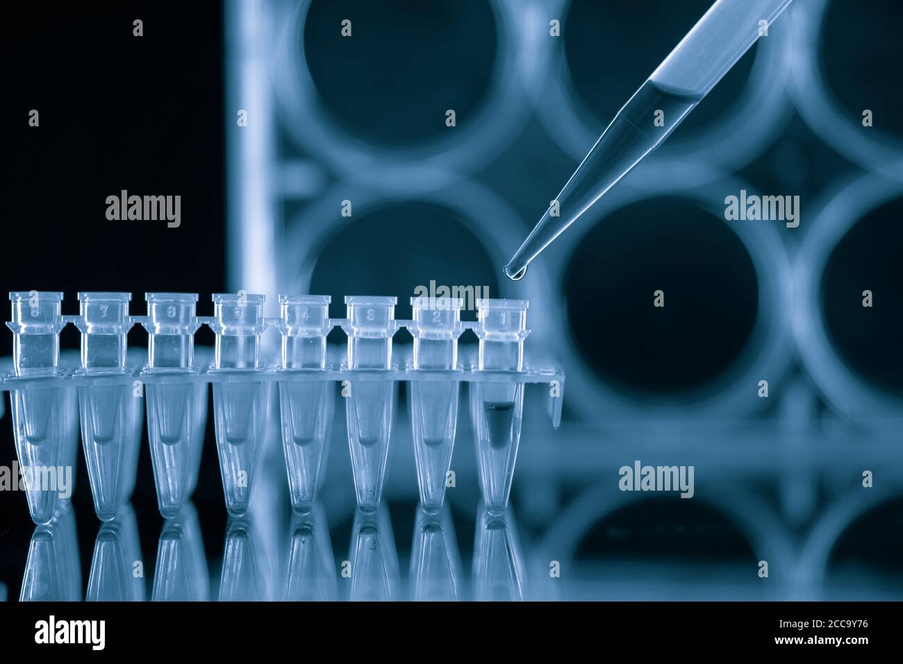 PCR Tube Strips Well and Pipette in genetic research laboratory close ...