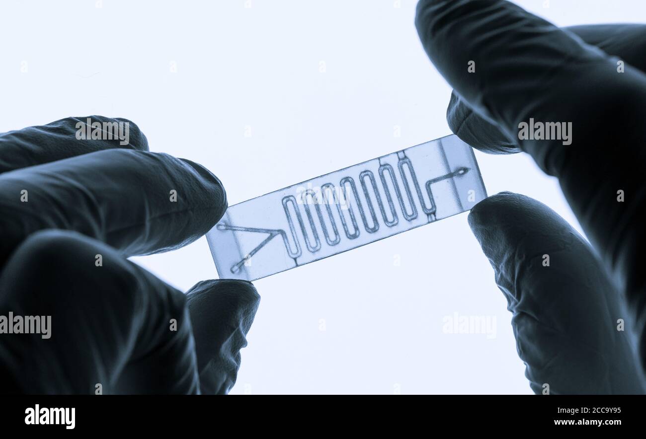 Organ on chip OOC and lab on chip LOC - microfluidic device chip that ...