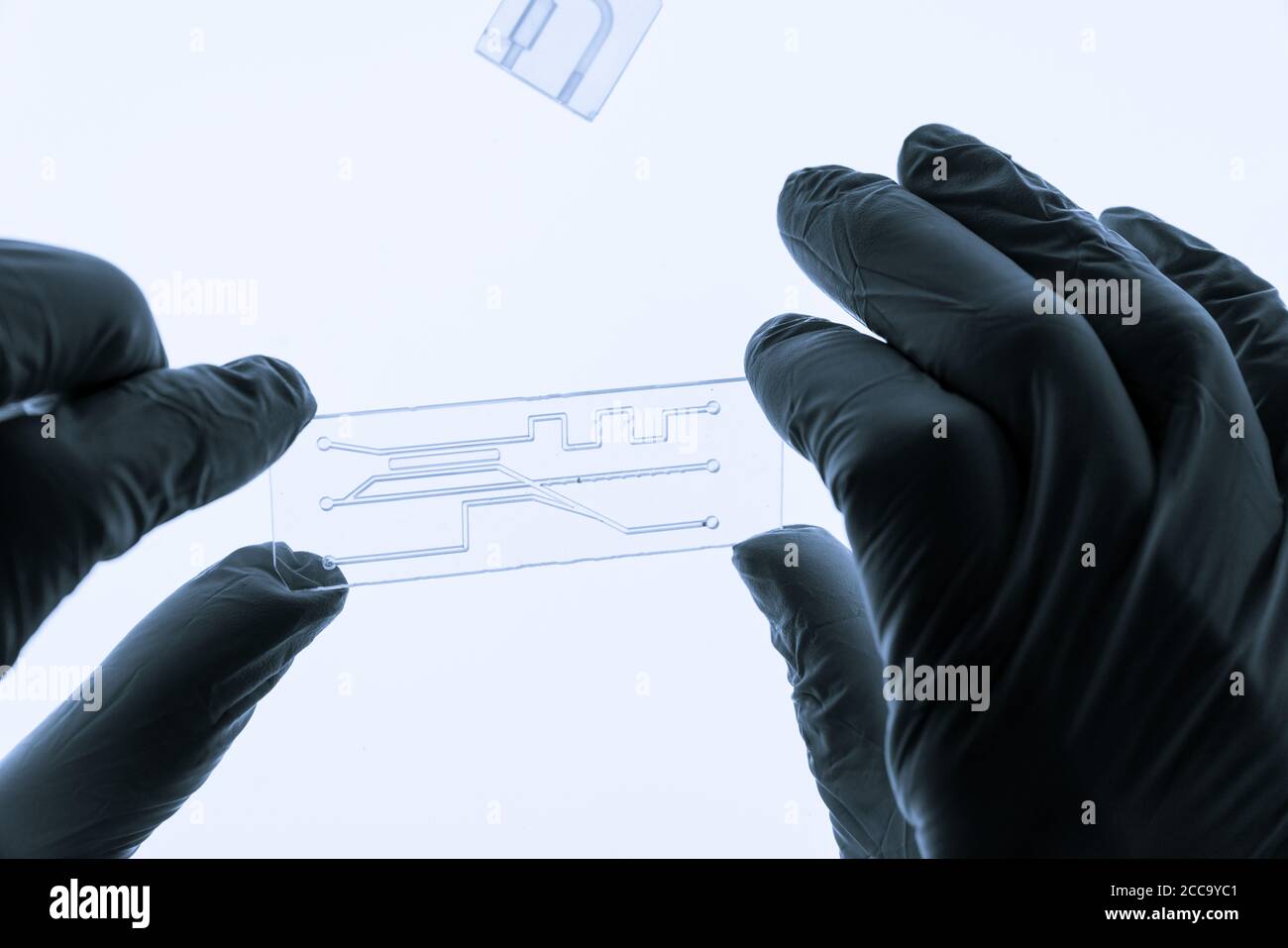 Organ on chip OOC and lab on chip LOC - microfluidic device chip that ...