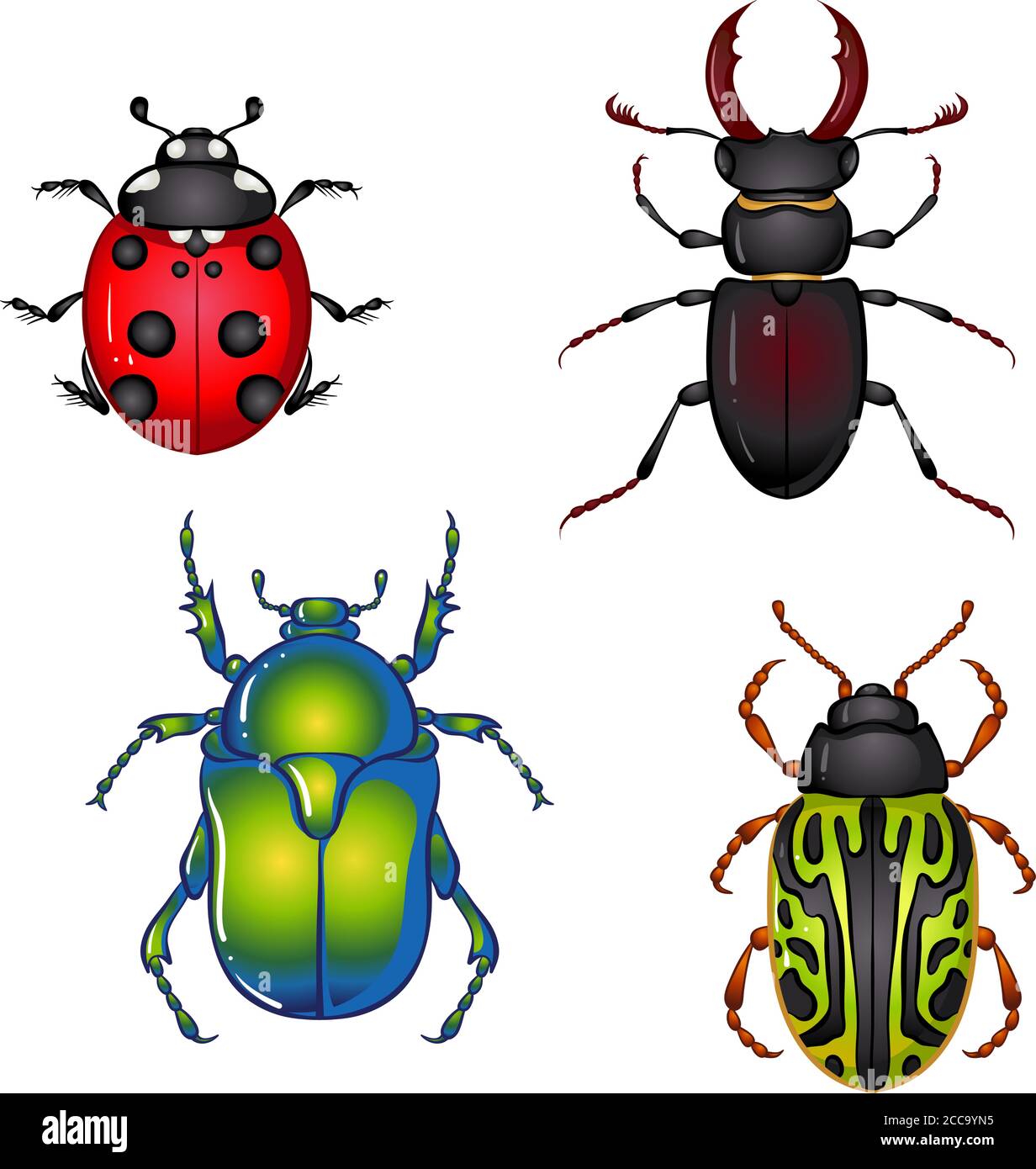 Vector illustration with insect beetles. Set isolated on white ...