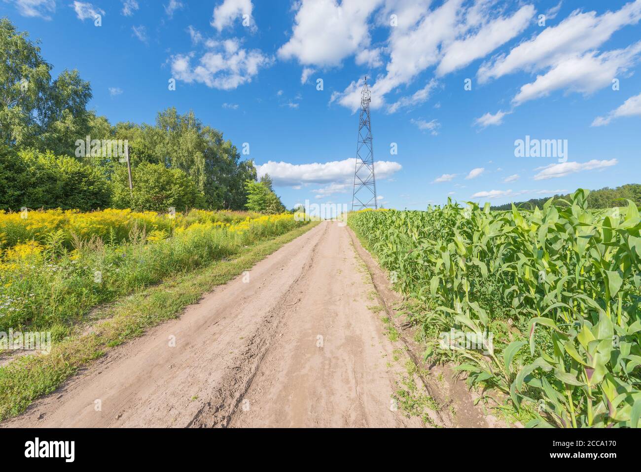 Long dusty road farm hi-res stock photography and images - Alamy
