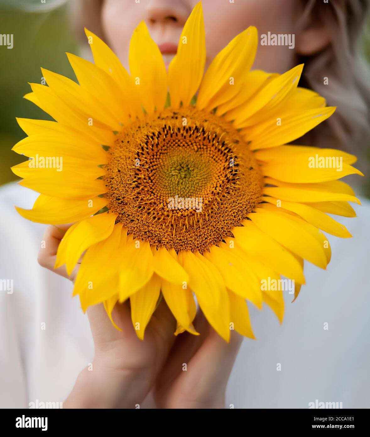 Young woman holding a sunflower in a hand Stock Photo - Alamy