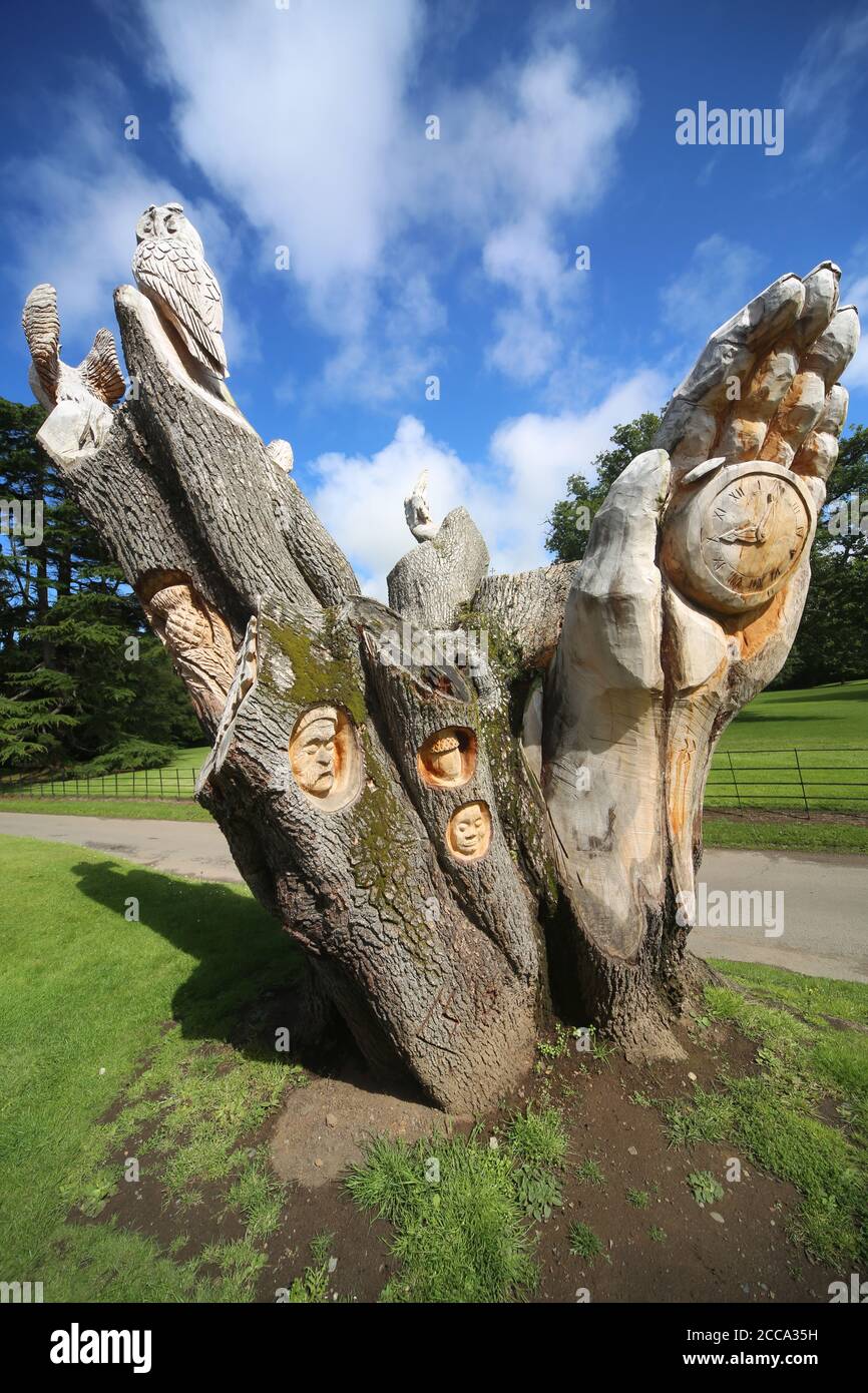 Hand passing forms hi-res stock photography and images - Alamy