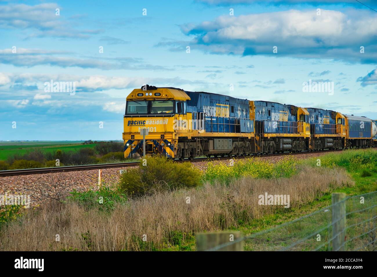 Pacific national, freight transportation, Australian train, railway in ...