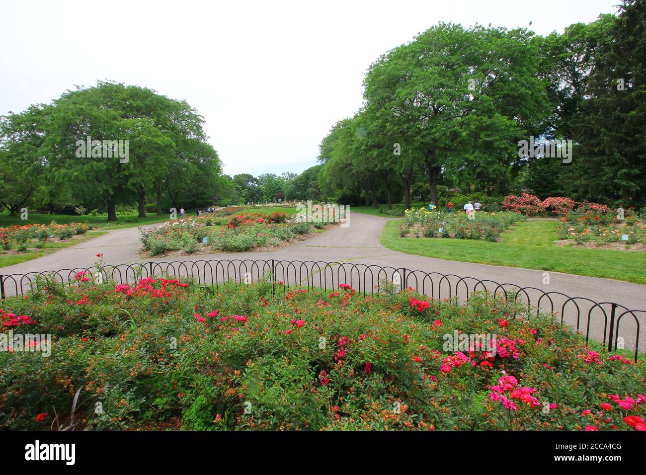 Closeup shot empty pathway hi-res stock photography and images - Alamy