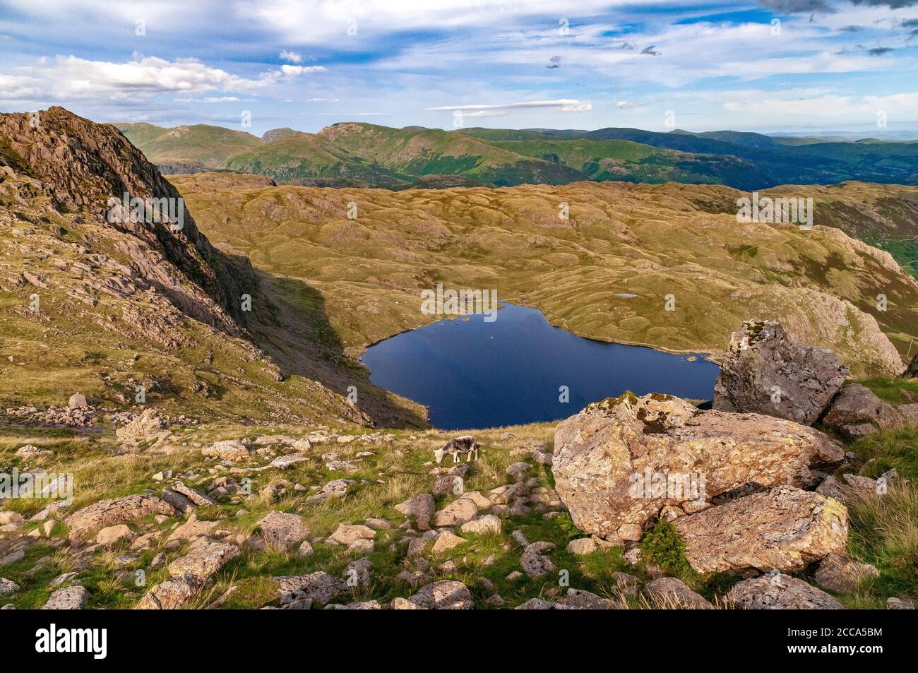 Stickle Tarn nestling under Pavey Ark fell in the Langdales Stock Photo ...