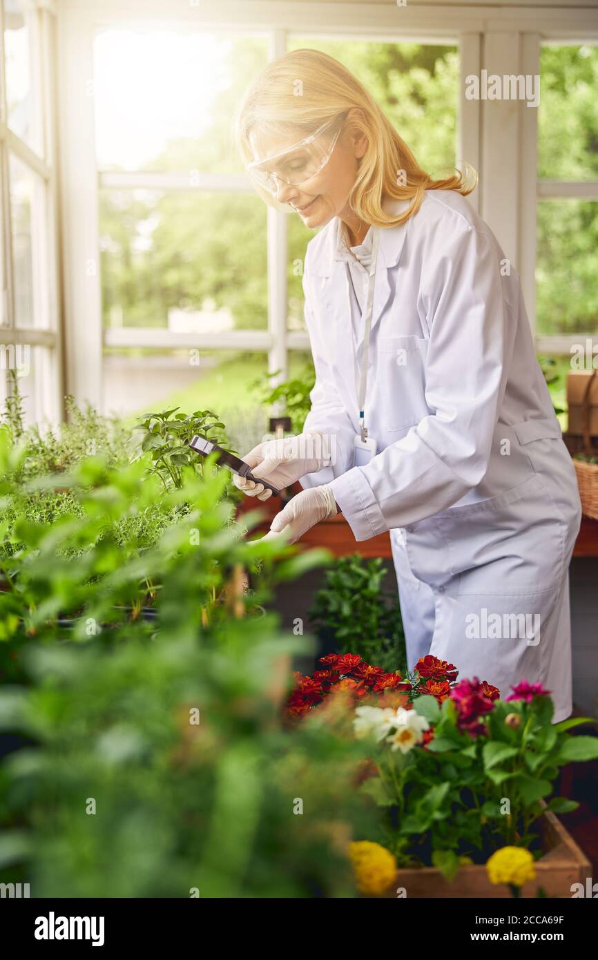 Latex Plants High Resolution Stock Photography and Images - Alamy