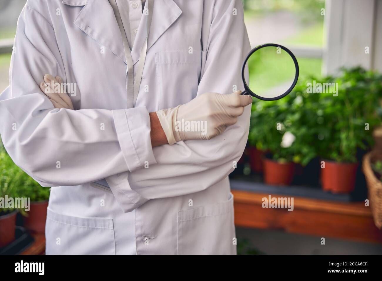 Botanist in latex gloves hi-res stock photography and images - Alamy