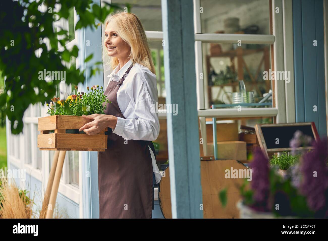 Female with marigolds and gazanias standing outside Stock Photo - Alamy