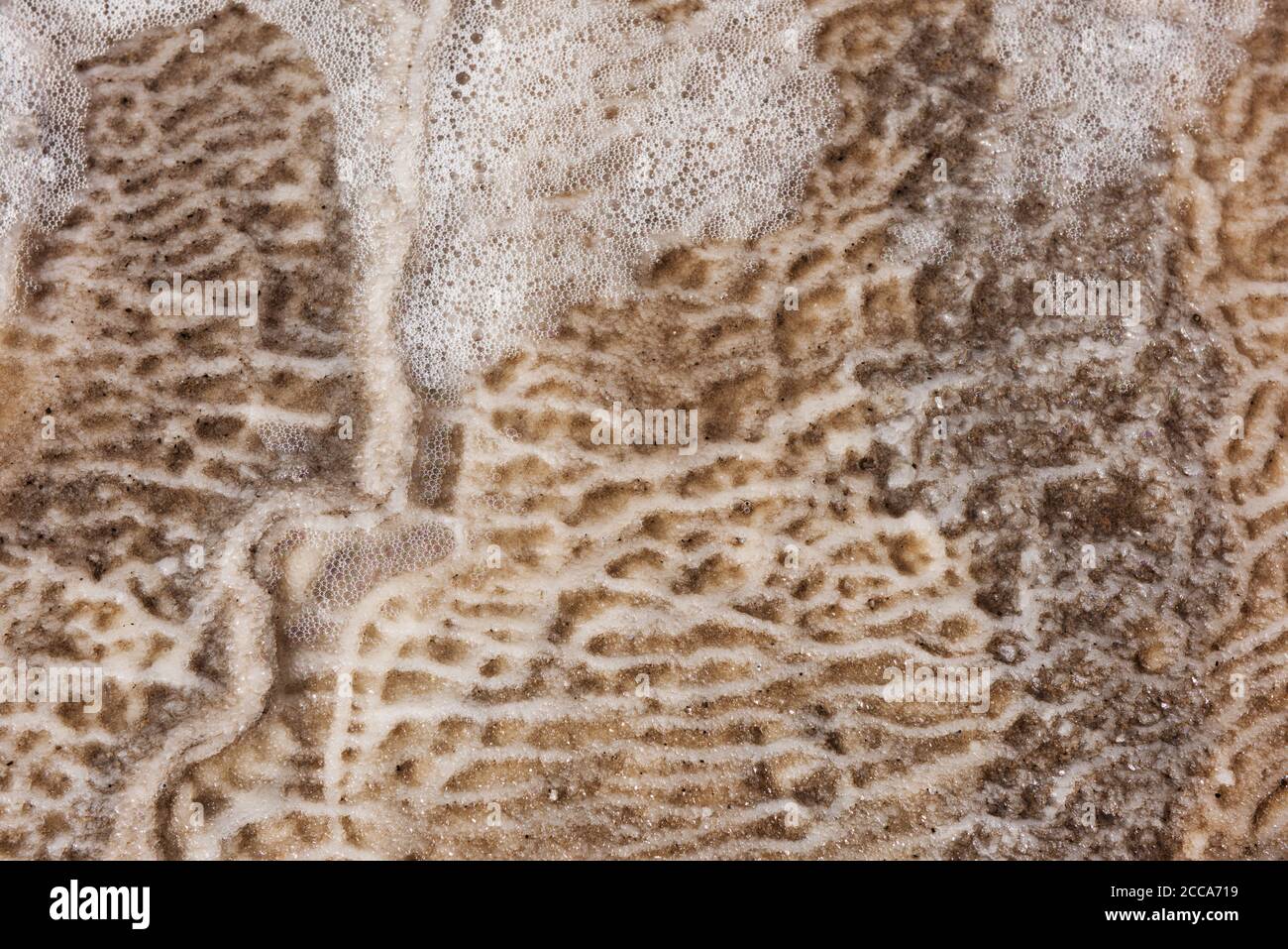 Salty rock background, sea water and salt. Water background. Water ...