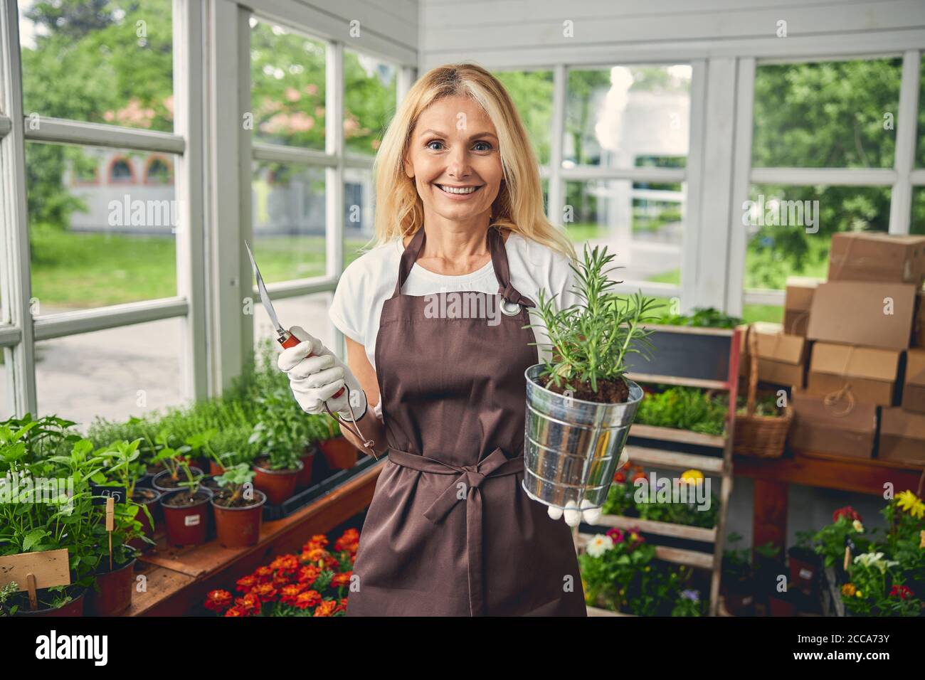 Person holding rosemary plant hi-res stock photography and images - Alamy