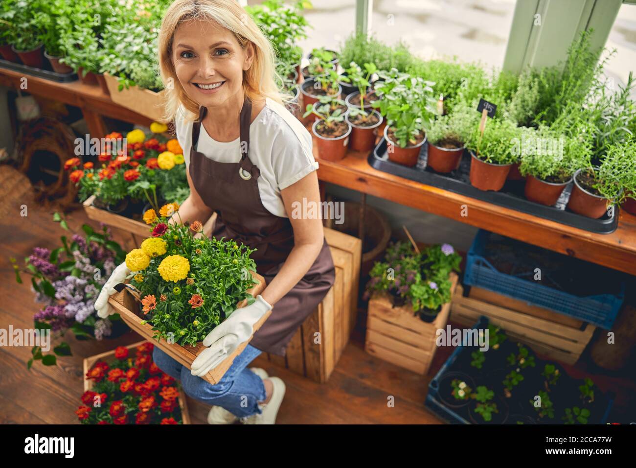 High-spirited woman with flowering plants looking upwards Stock Photo ...