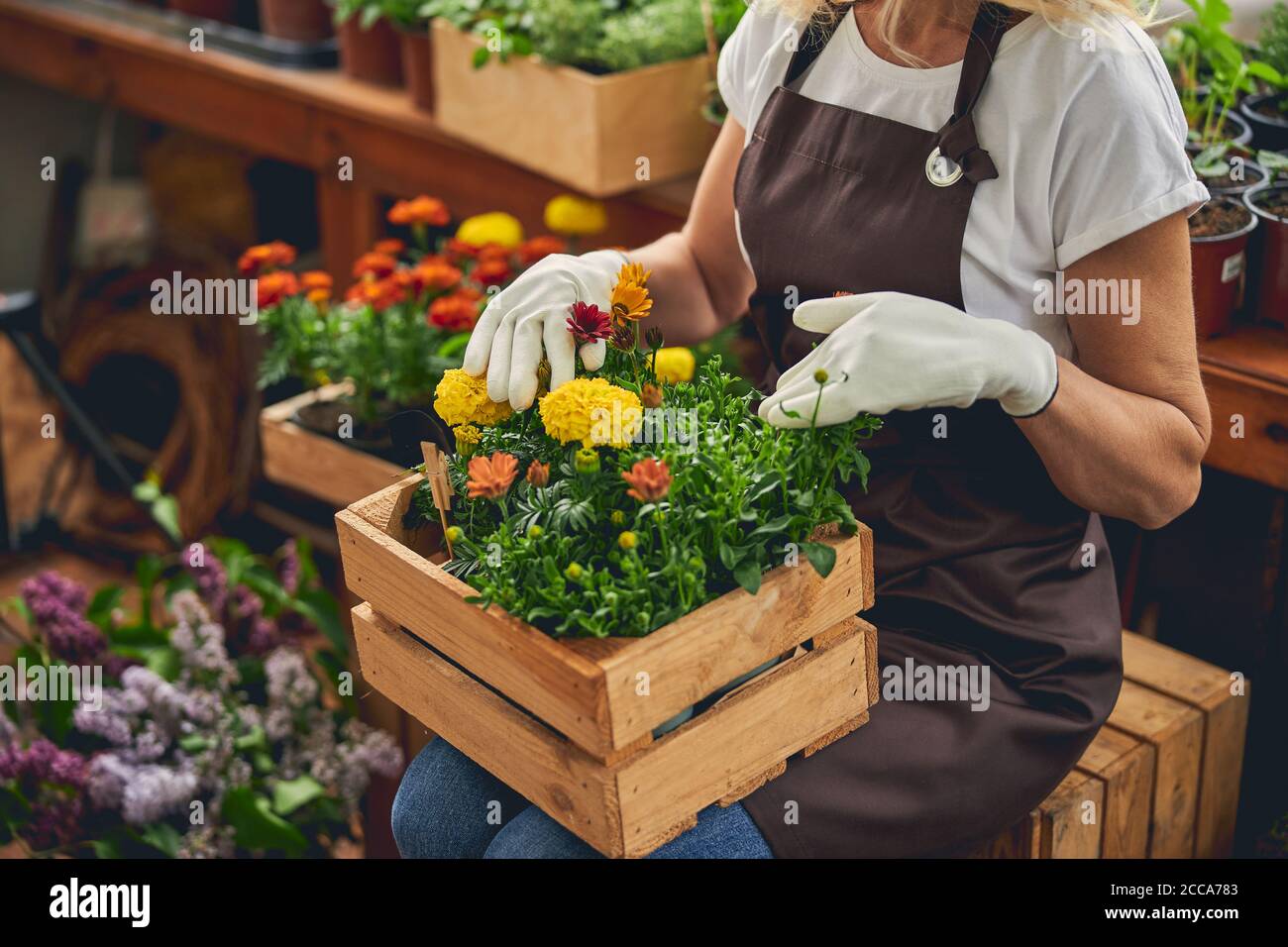 Female botanist sitting in a plant nursery Stock Photo - Alamy