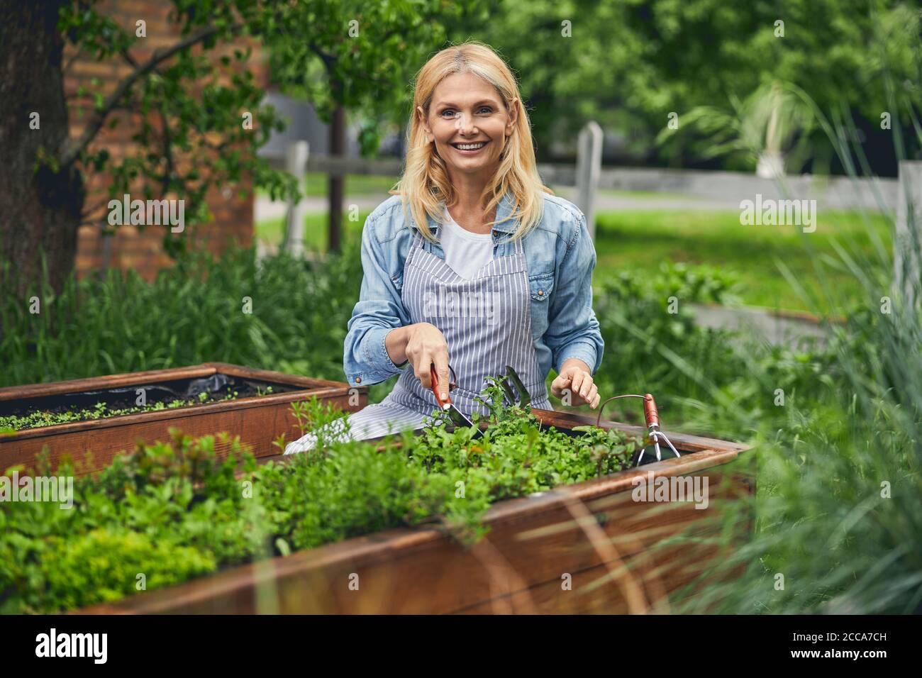 Sitting on his haunches hi-res stock photography and images - Alamy