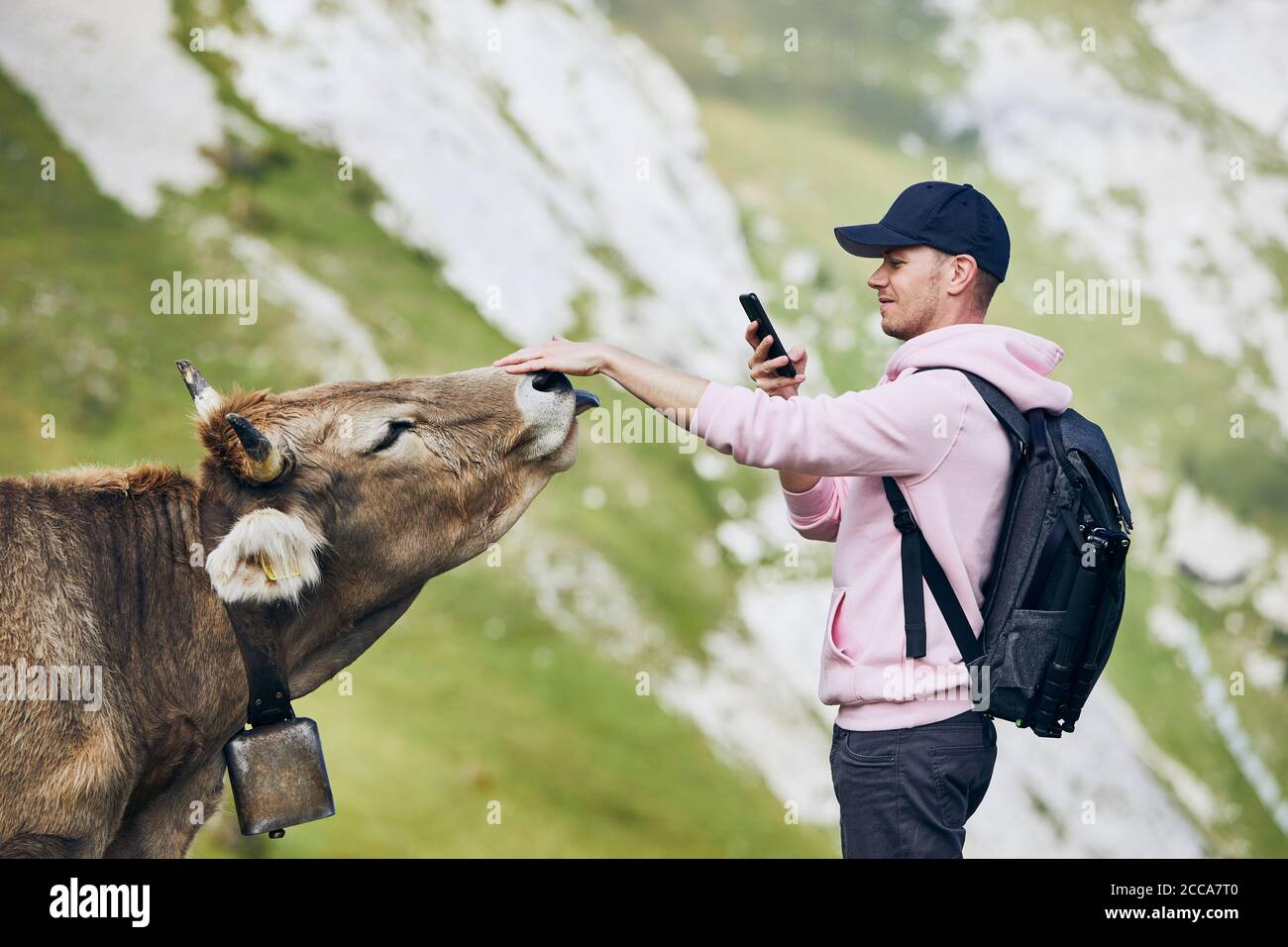 Smart cow hi-res stock photography and images - Alamy