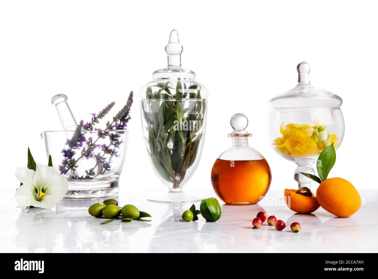 Botanical still life hi-res stock photography and images - Alamy