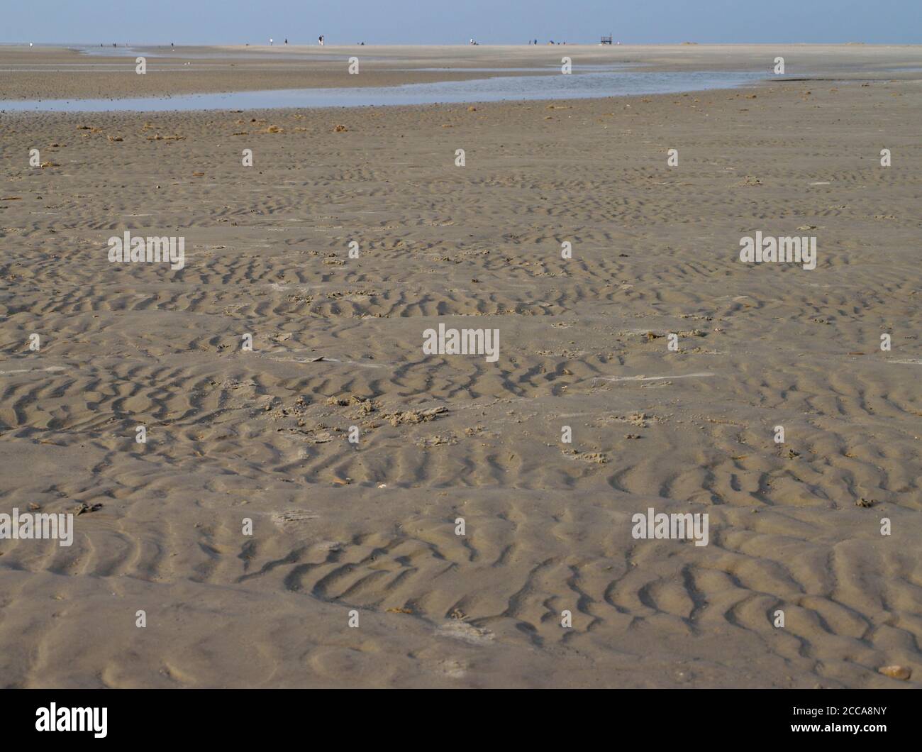 Mudflat beach, focus on foreground Stock Photo - Alamy