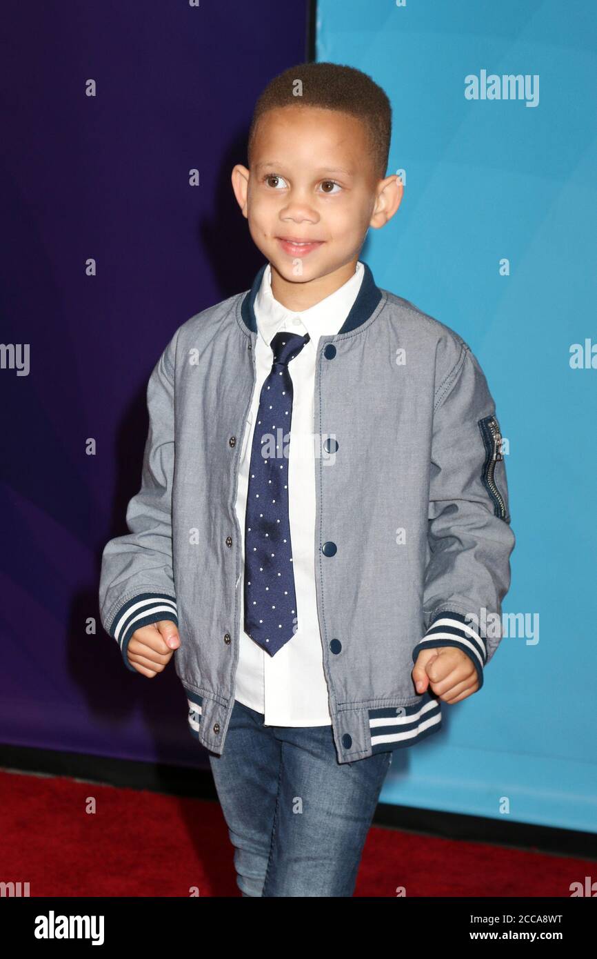 Trent Fuller High Resolution Stock Photography and Images - Alamy