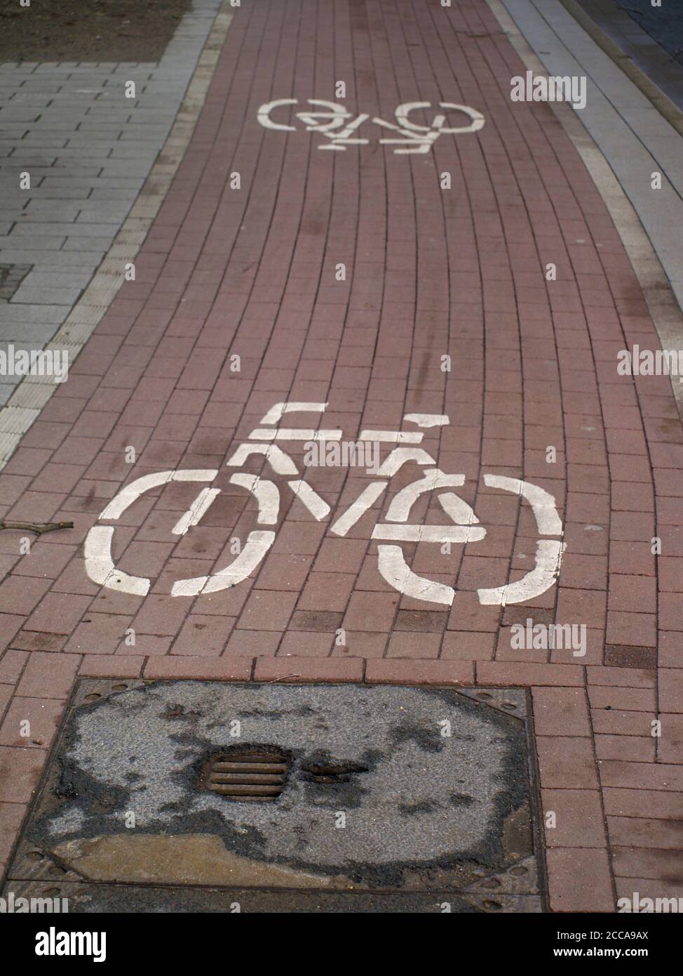 Vertical shot of markings on the ground saying "bikes allowed in both ...
