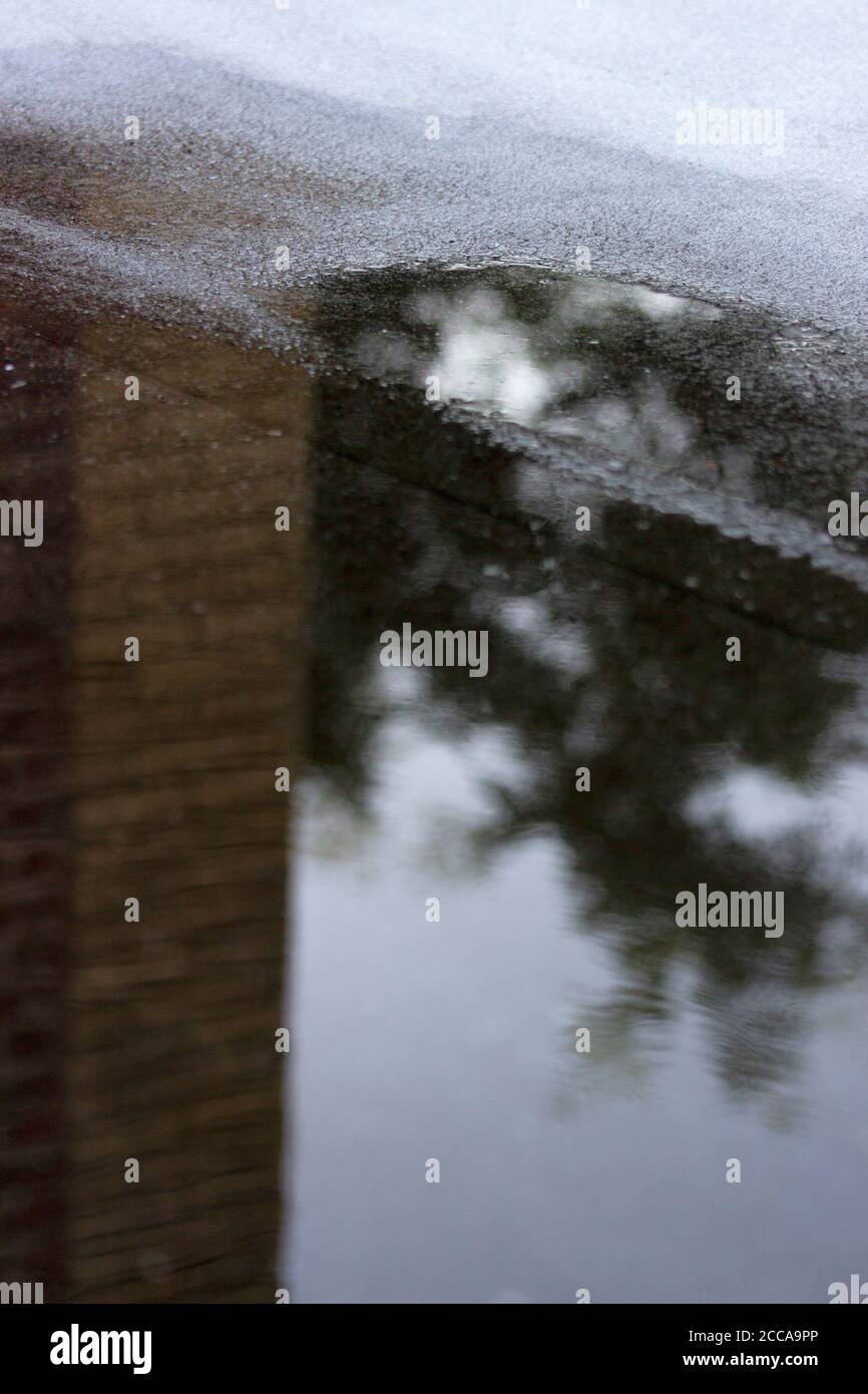 Neighboring brick building reflected in a rooftop puddle after a rainy ...