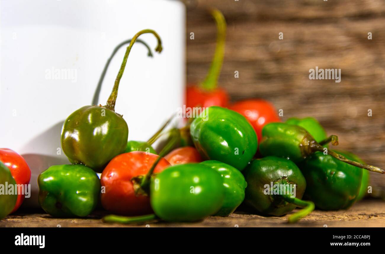 Chilli yellow scorpion hi-res stock photography and images - Alamy
