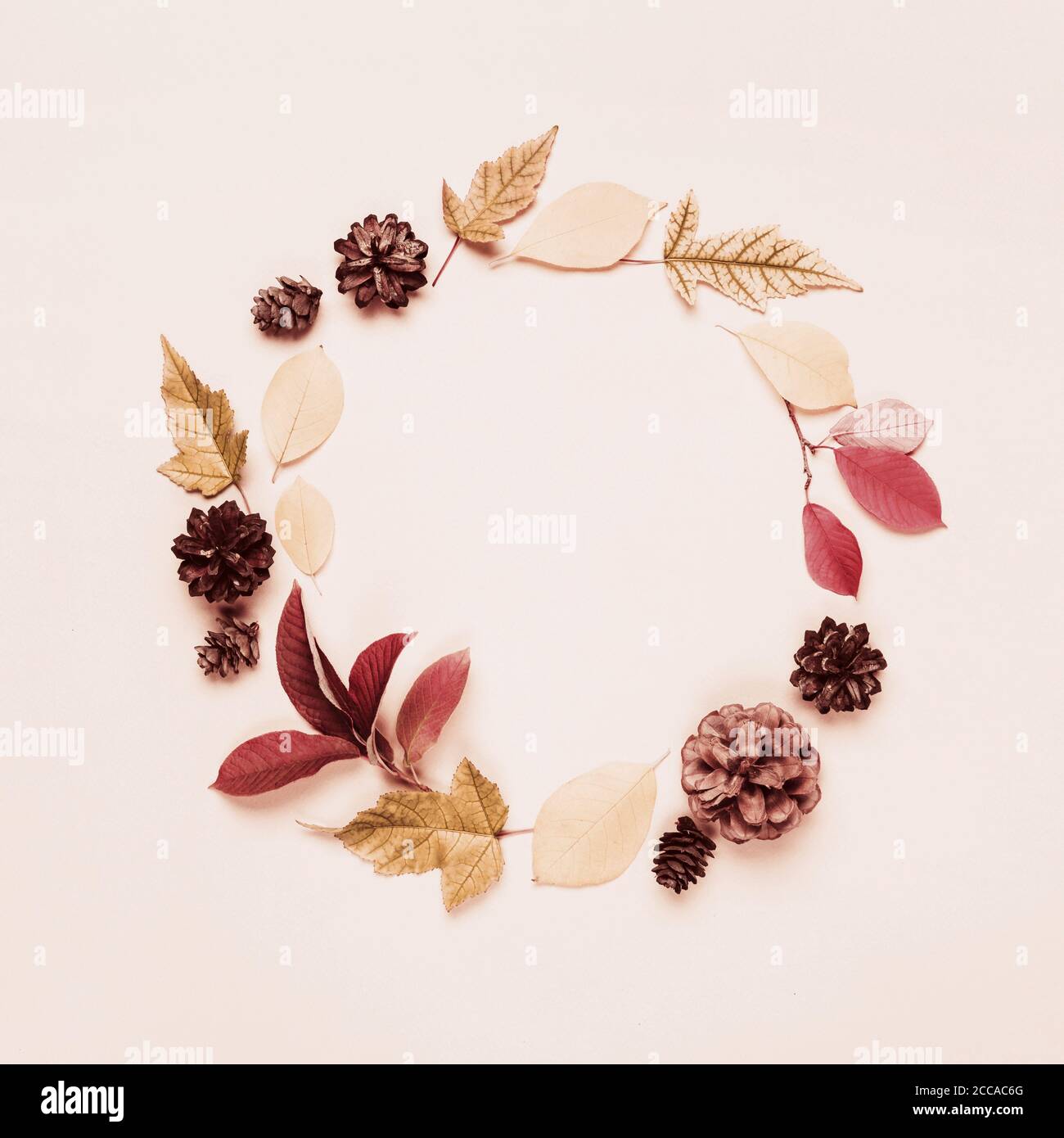 Stylish autumn layout with place for text. Round frame of leaves in ...