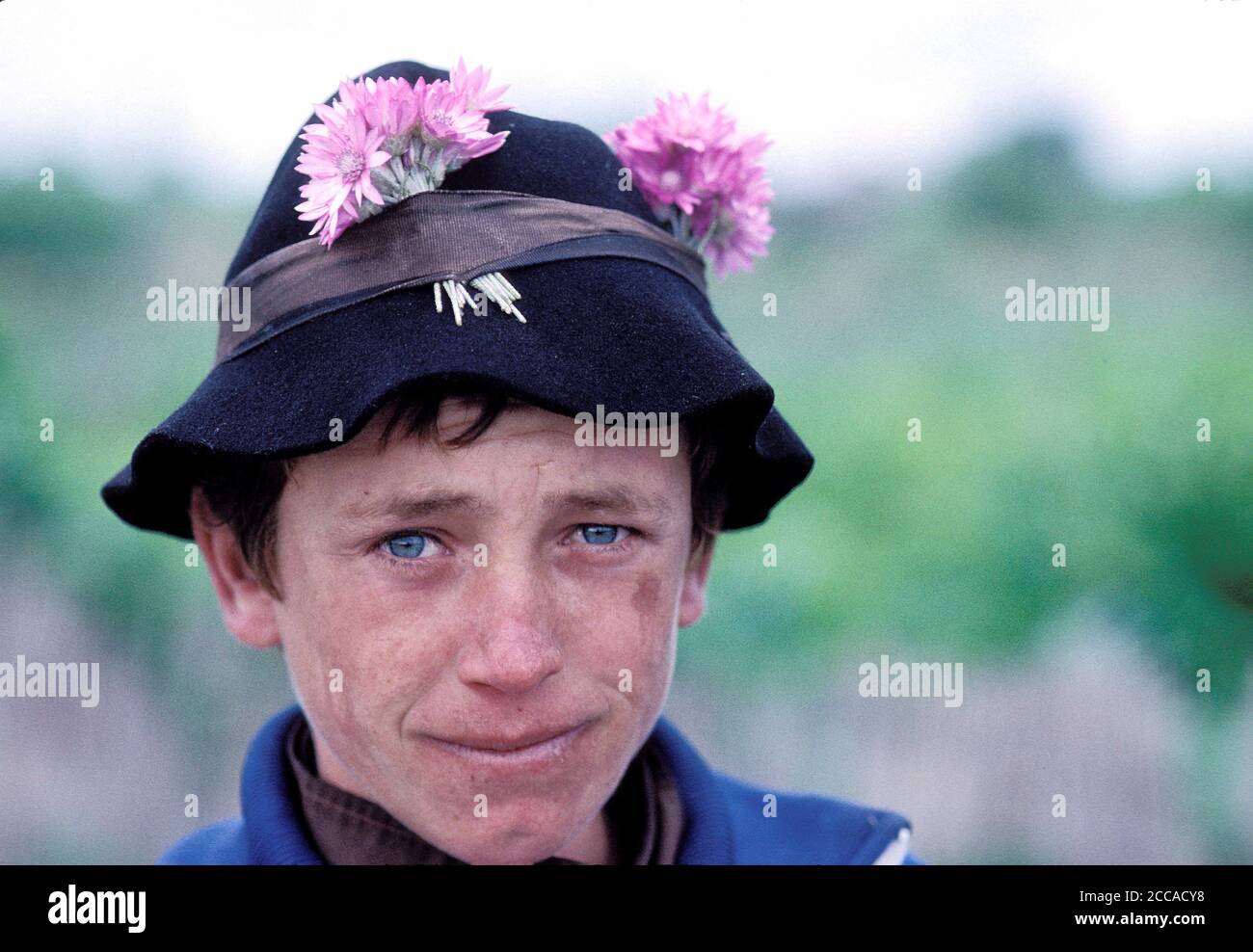 Romania, Mahmudia, Delta of Danube, Unesco world heritage Stock Photo ...