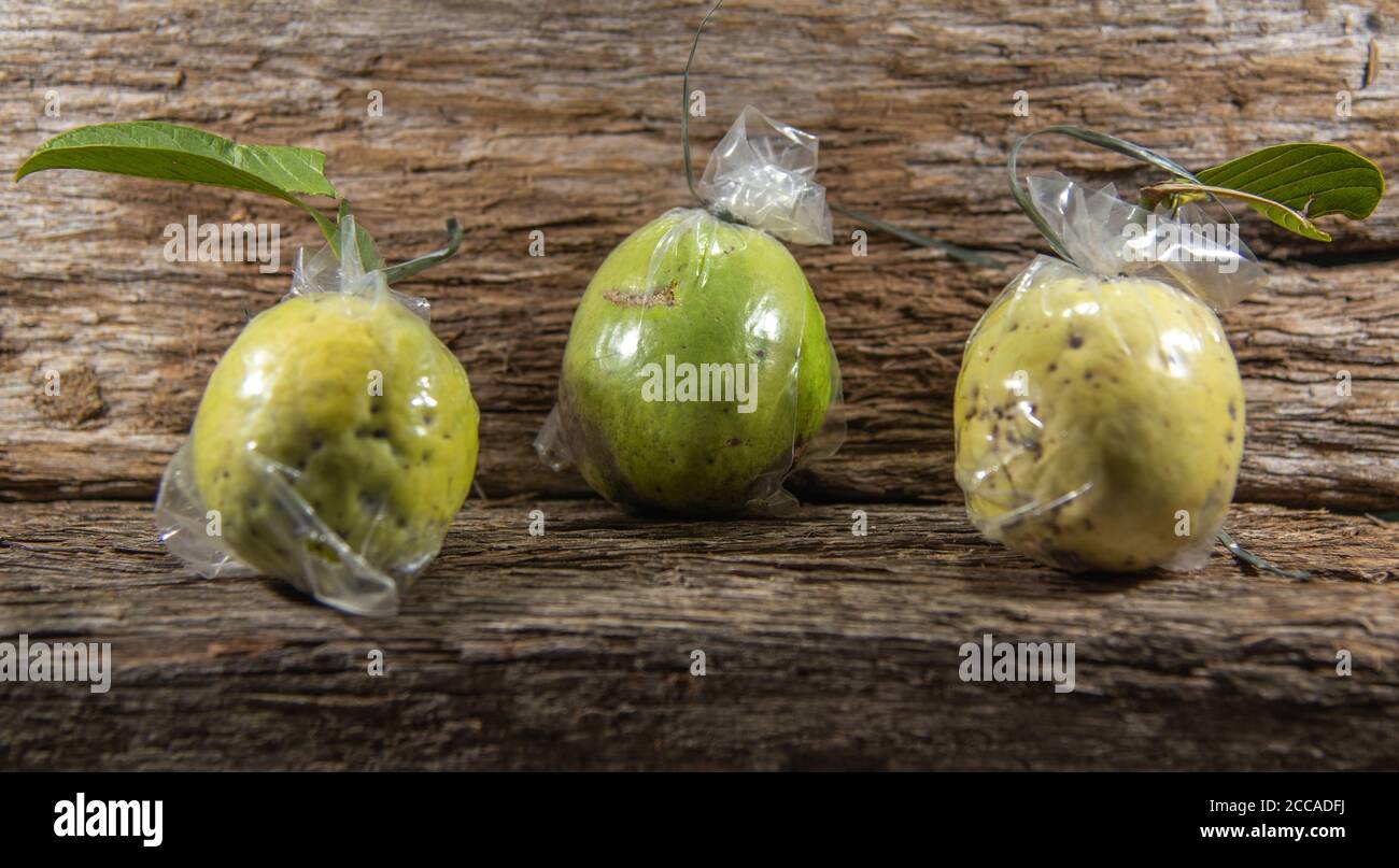 Wrapped guava hi-res stock photography and images - Alamy
