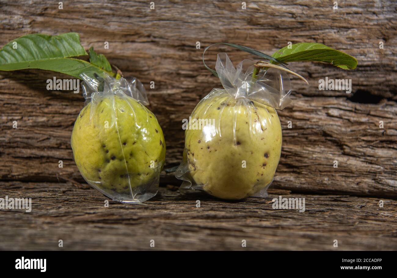Wrapped guava hi-res stock photography and images - Alamy