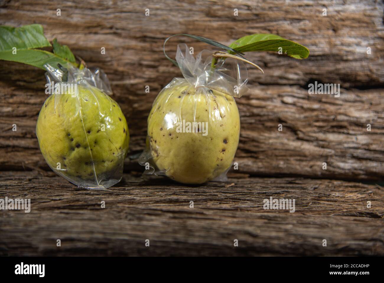 Wrapped guava hi-res stock photography and images - Alamy