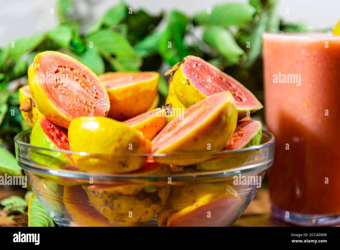 Guava juice and fruits (Psidium guajava). Guava is the fruit of guava ...