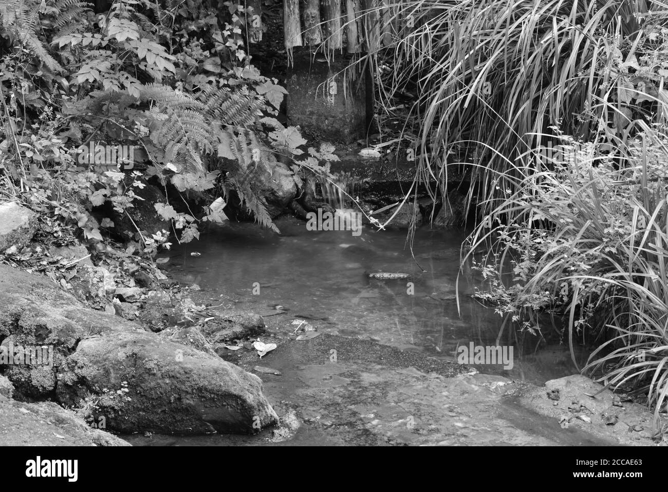 Small Weir at the Shanklin Chine on the Isle of Wight Stock Photo - Alamy