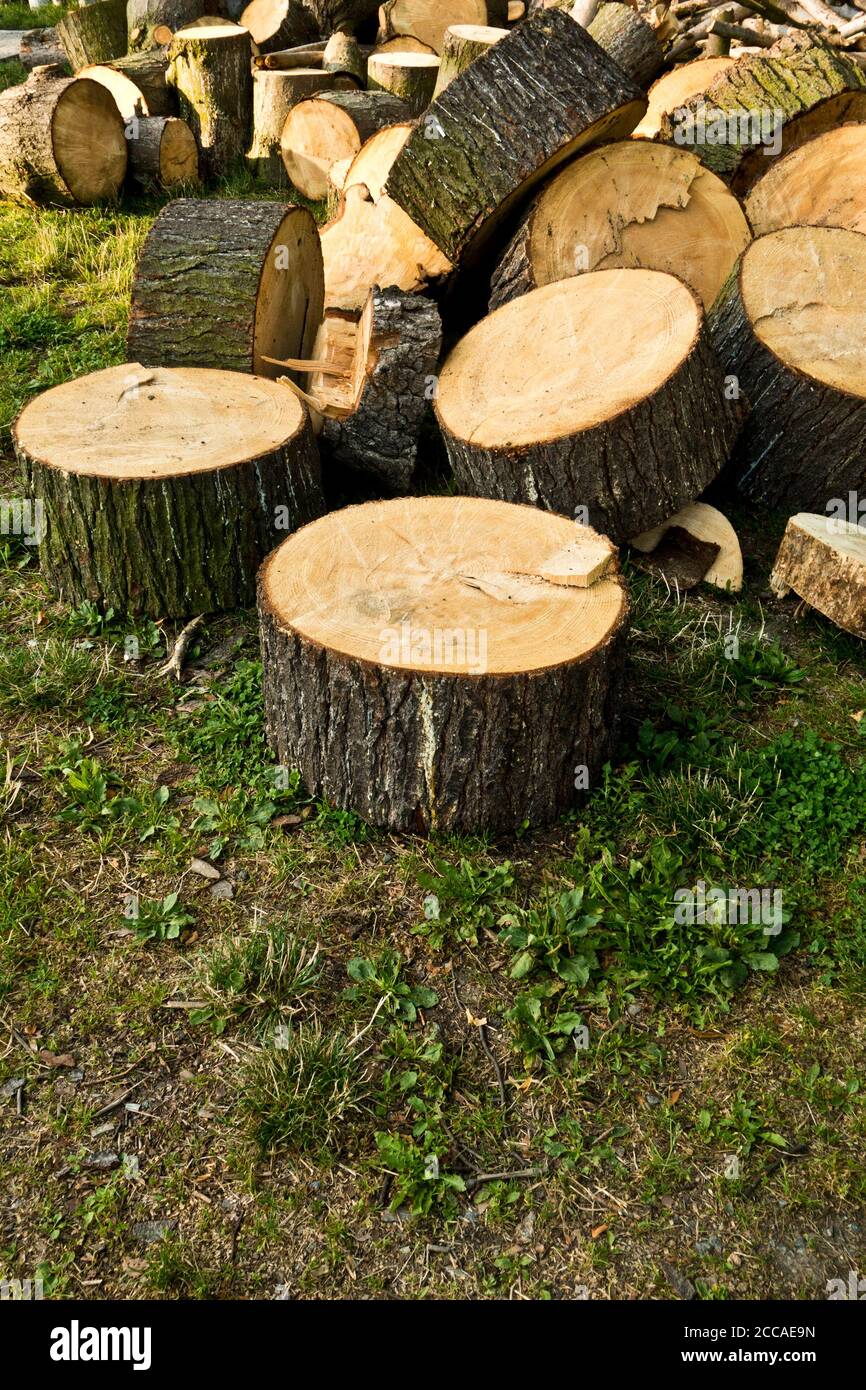 Cut pieces hi-res stock photography and images - Alamy