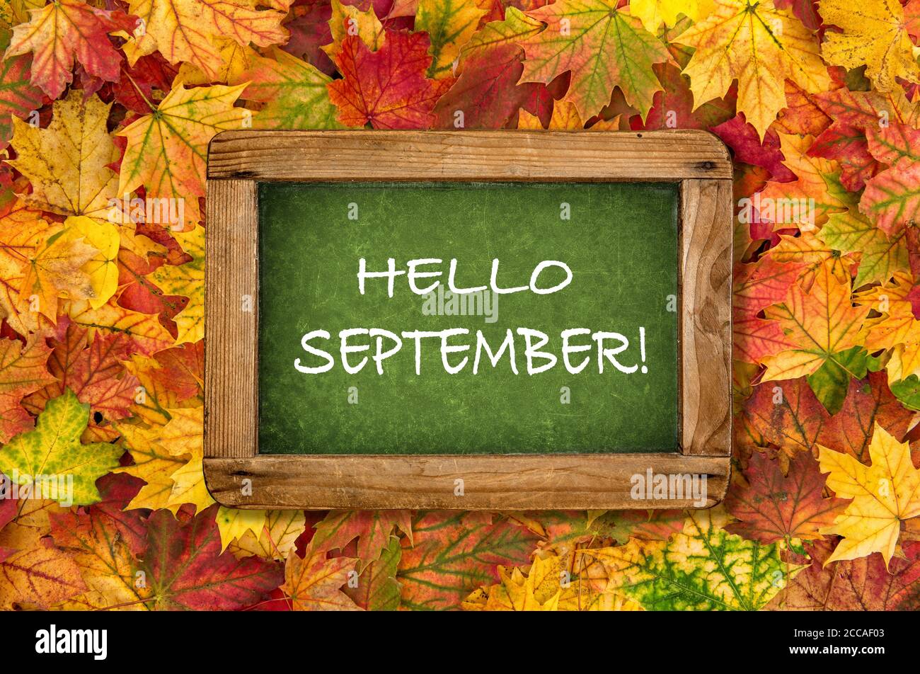 September background hi-res stock photography and images - Alamy