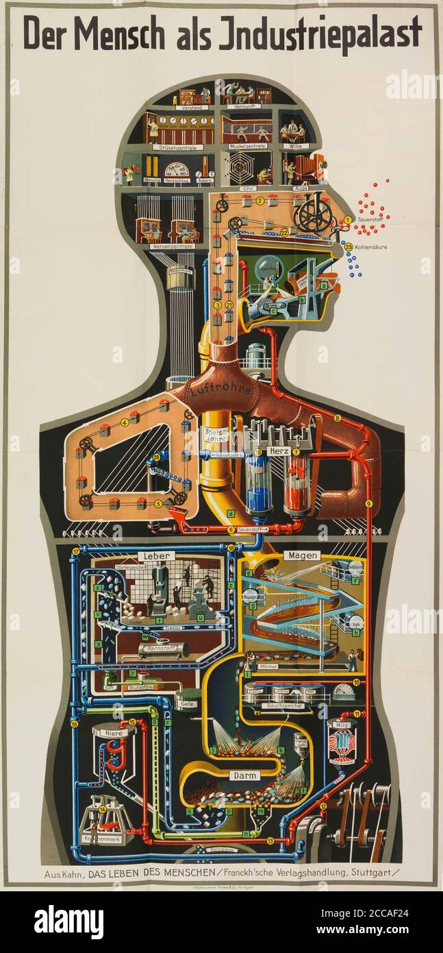 Der mensch als industriepalast hi-res stock photography and images - Alamy