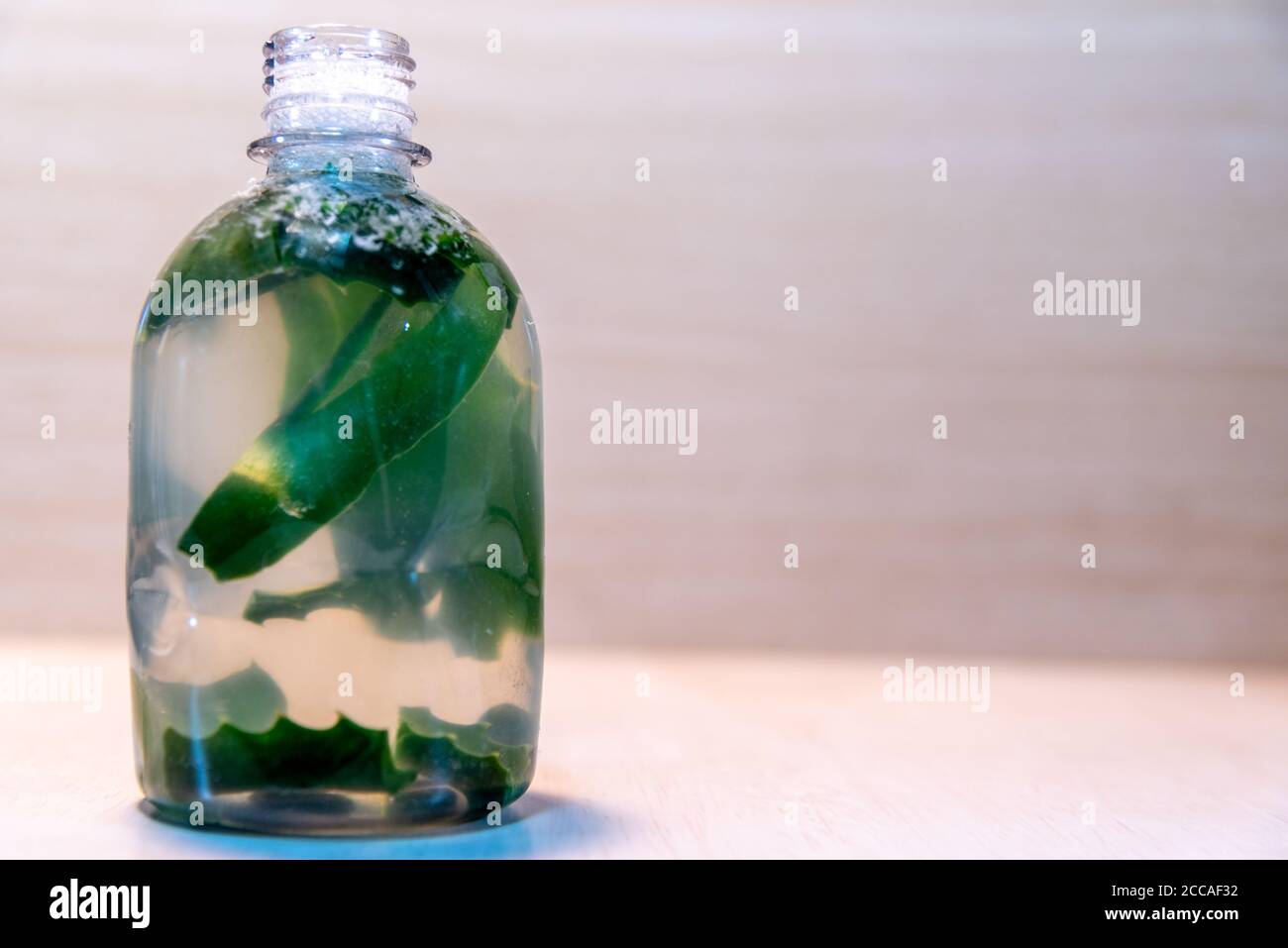 Infusion of Aloe Vera. Aloe vera is a plant known for its medicinal and ...