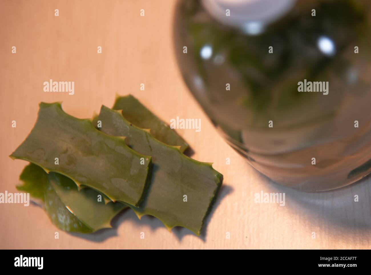 Infusion of Aloe Vera. Aloe vera is a plant known for its medicinal and ...