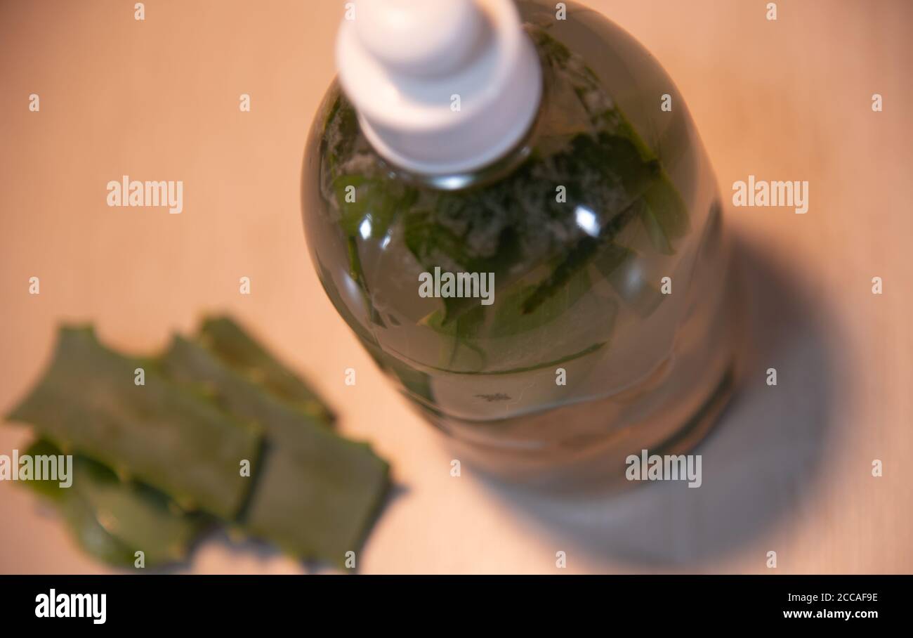 Infusion of Aloe Vera. Aloe vera is a plant known for its medicinal and ...