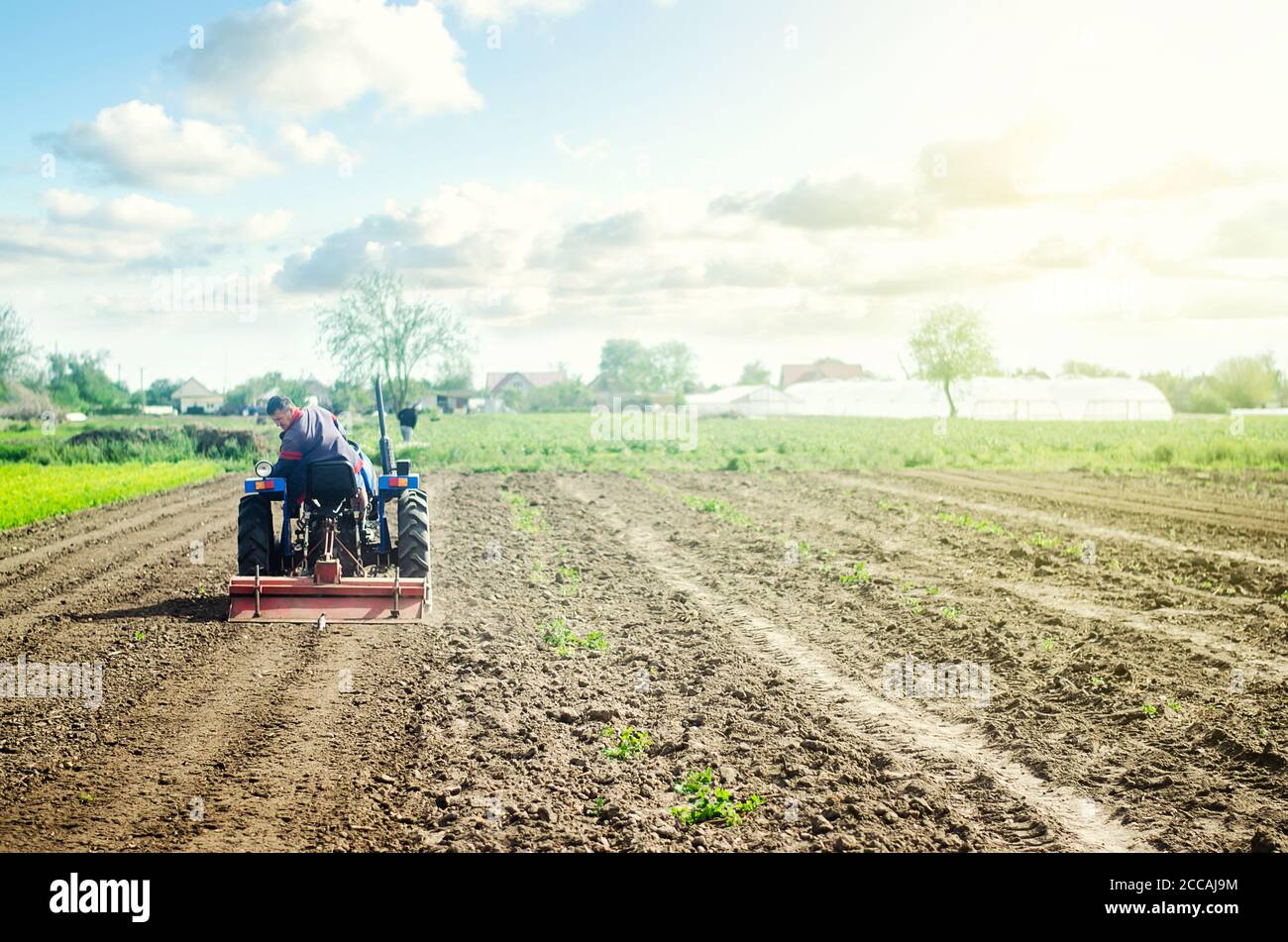 Farmer on a tractor loosens soil with milling machine. First stage of ...