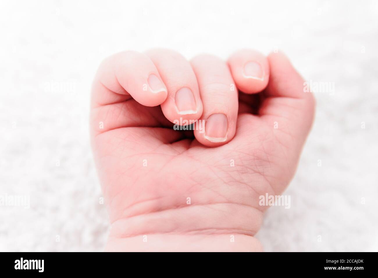 Newborn hand close up on white background. Baby body part concept Stock ...
