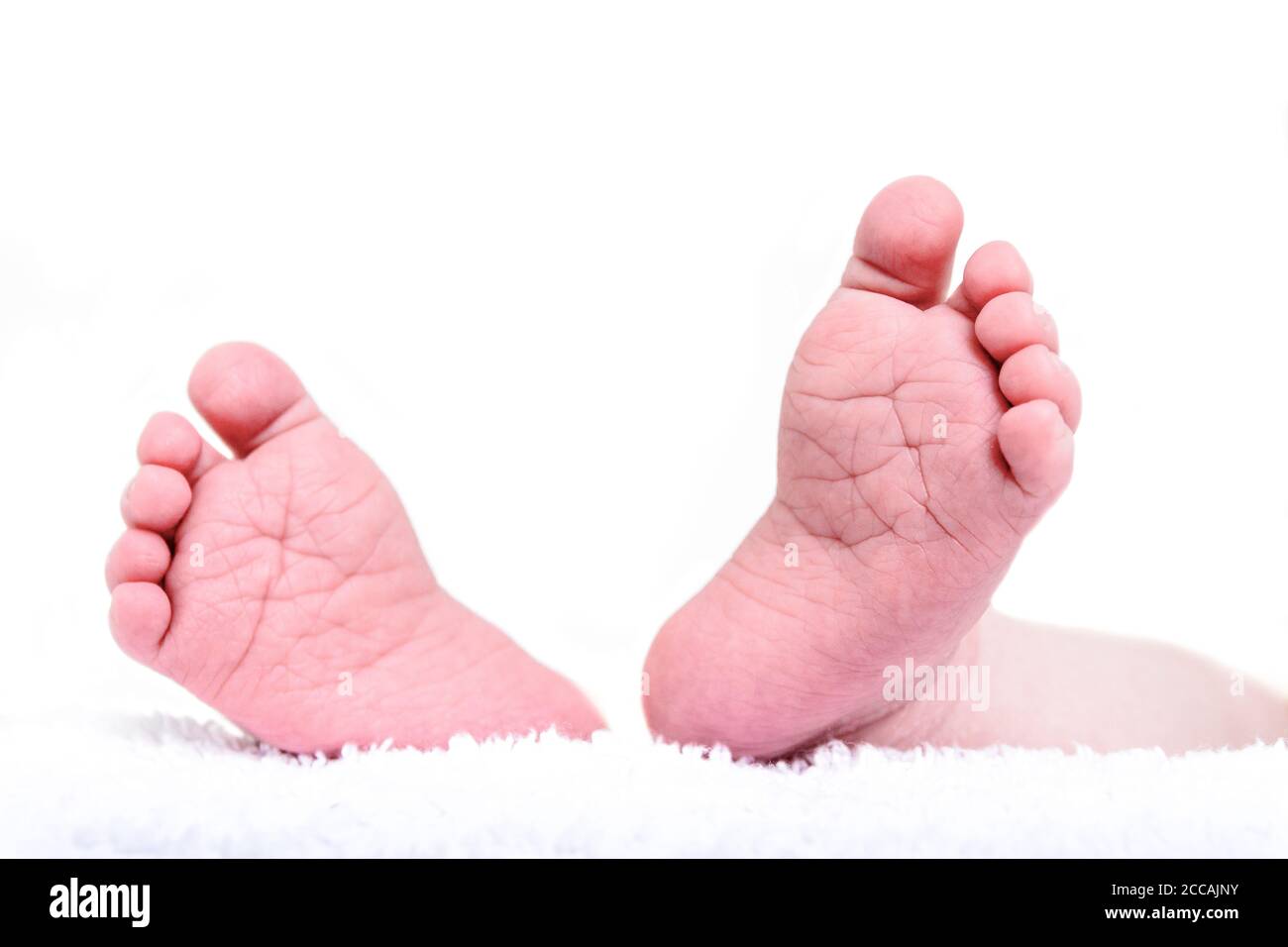 Newborn feet close up on white background. Baby body part concept Stock ...