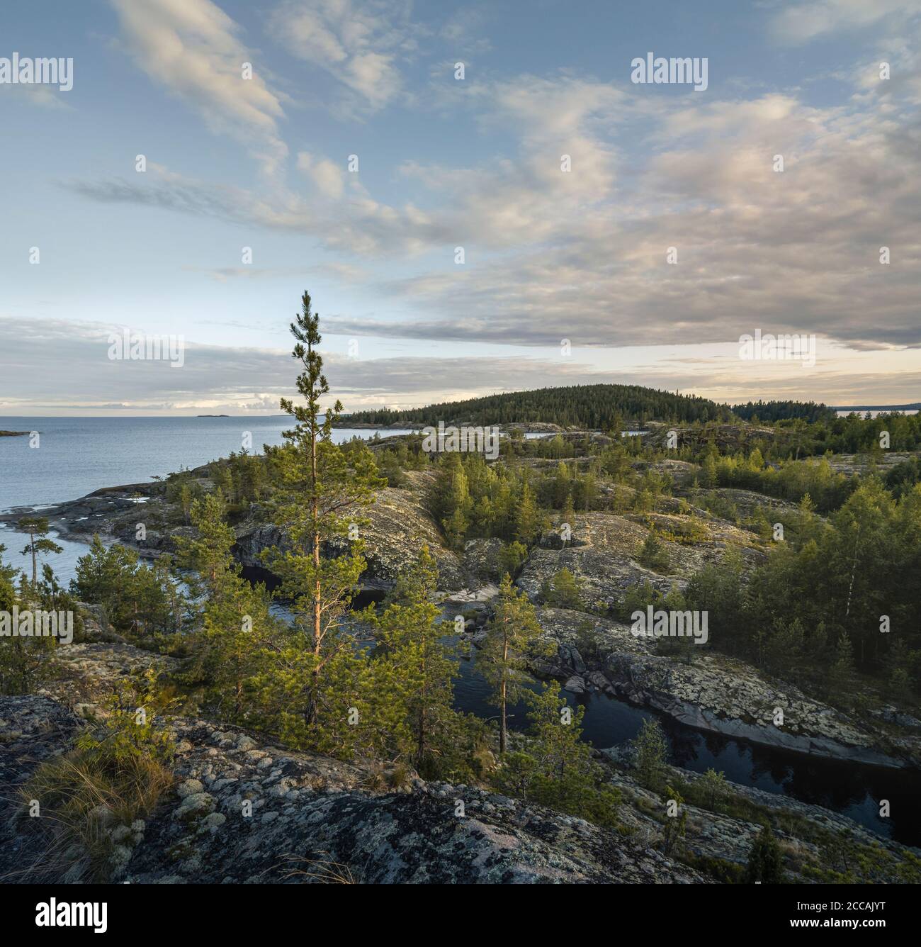 Top view shore hi-res stock photography and images - Alamy