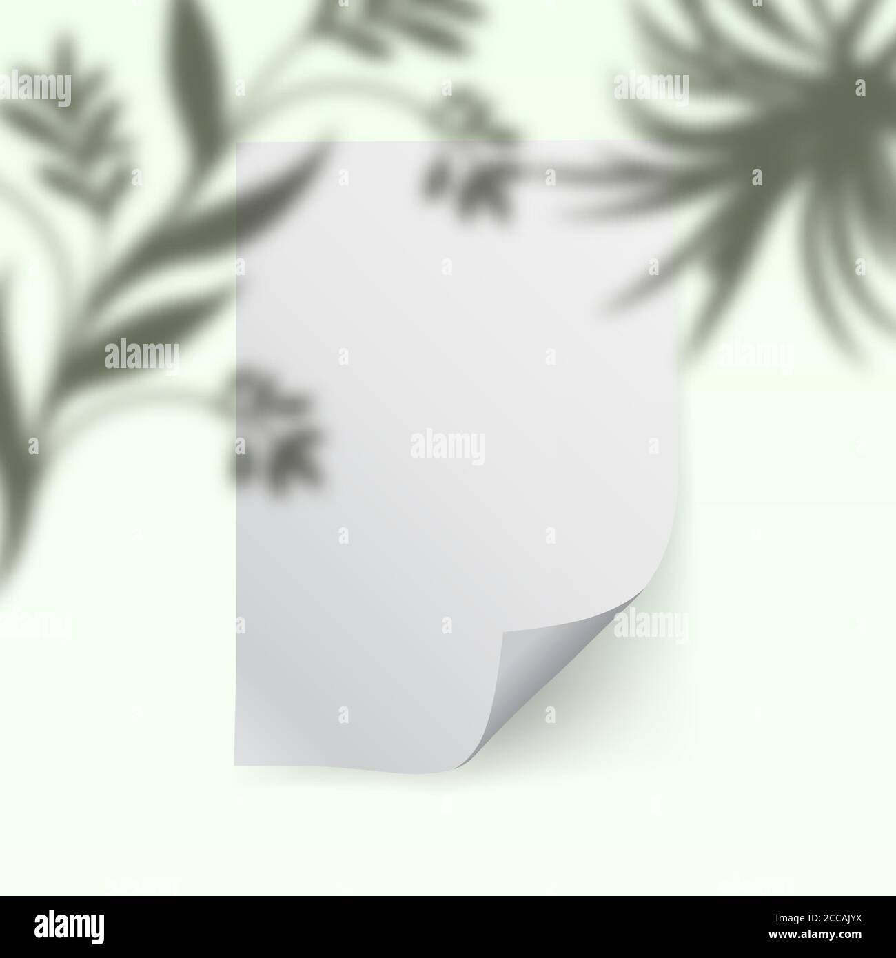An empty shredded sheet of paper with a shadow of vegetation. Template ...